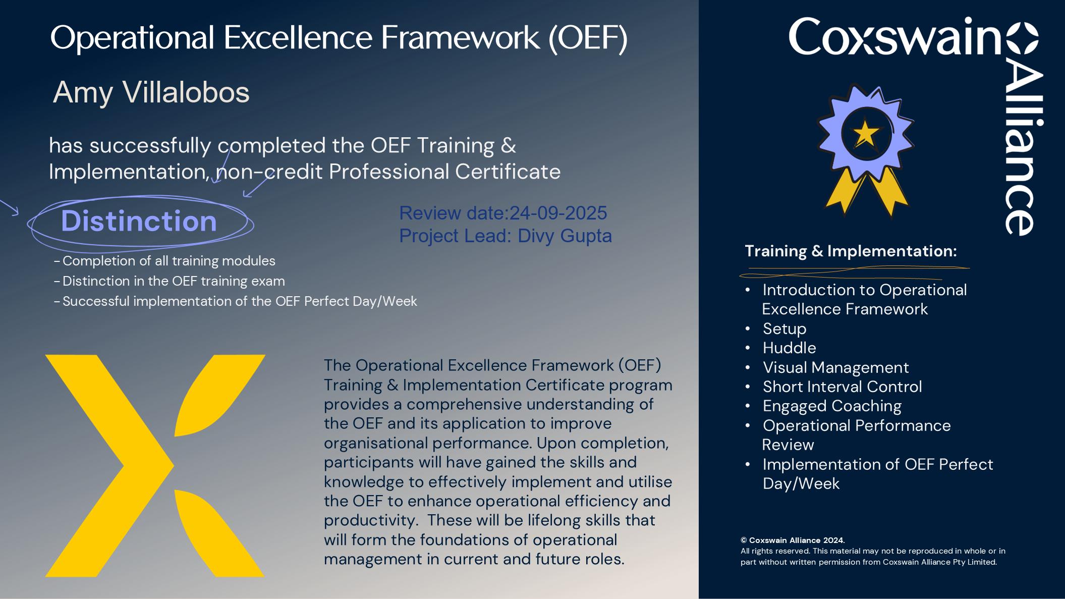 Amy Villalobos - Chief Operations Officer | Global Health Management ...